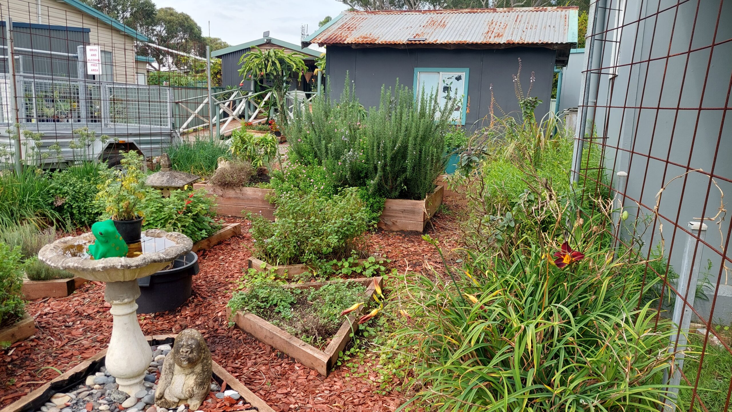 Doyalson Baptist Church Community Garden | Doyalson Baptist Church